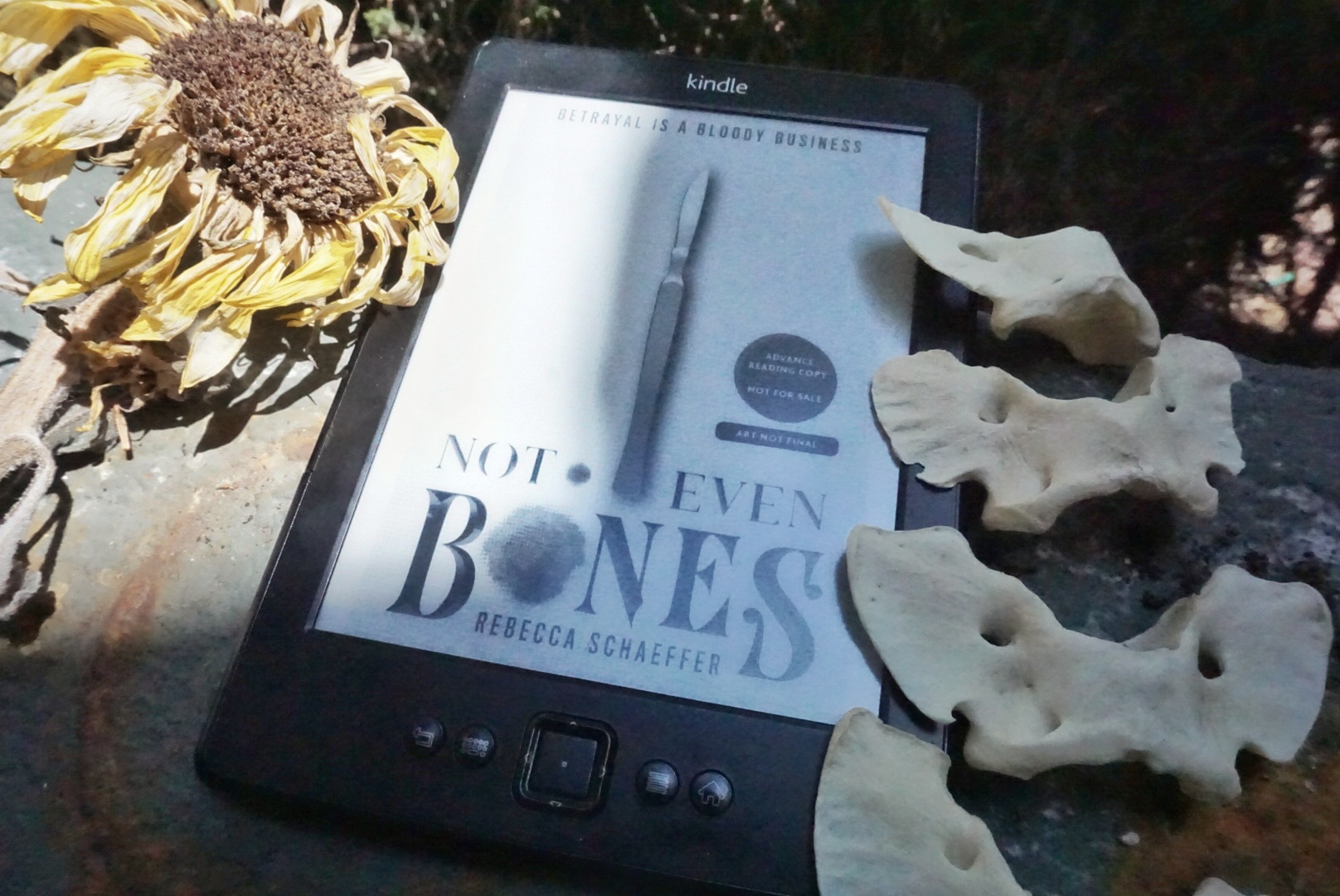 Not Even Bones Netgalley Review | Tinted Prose Reviews